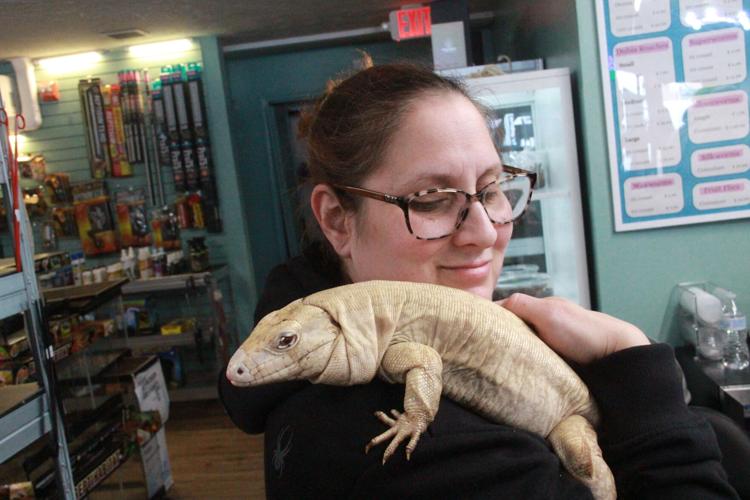 Big lizard found in snow recovering in Warwick | News | johnstonsunrise.net