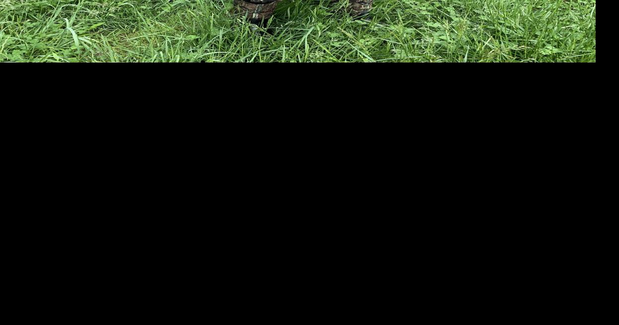 Keith Costley: Talking turkey as spring gobbler season approaches ...