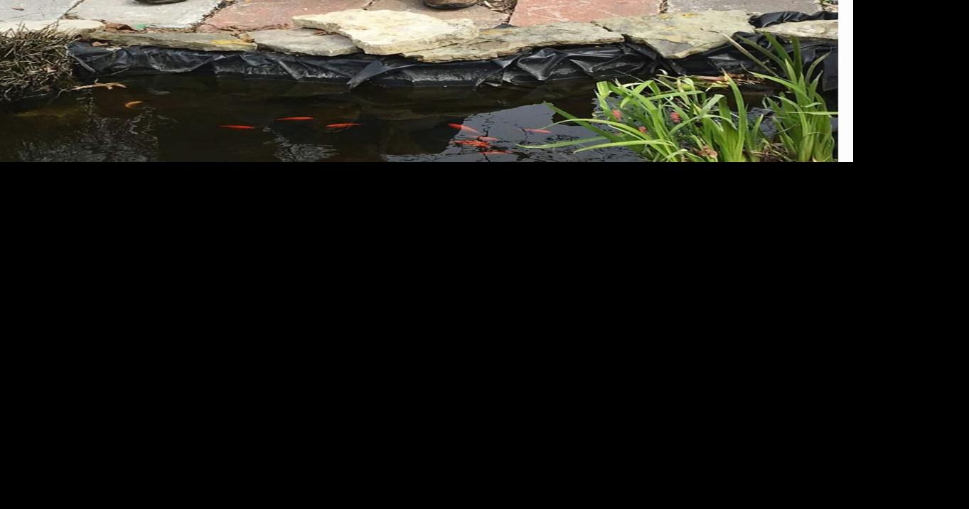 Sandy Parrill: Requiem for a garden writer | Local News | joplinglobe.com