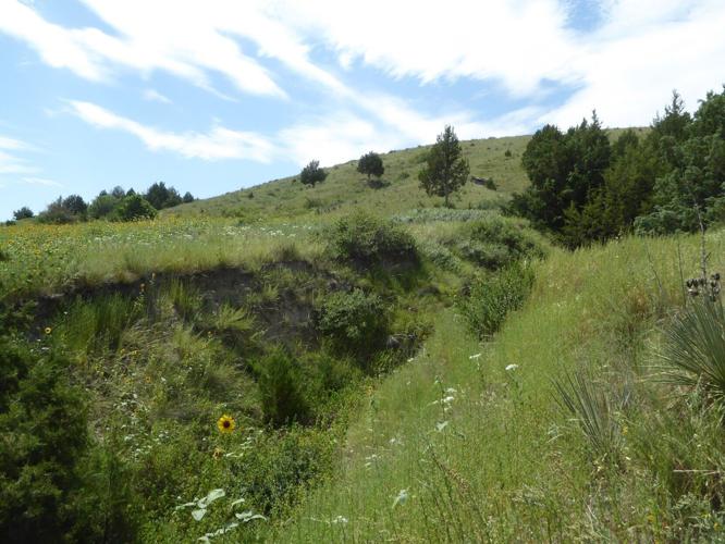 Ash Hollow: Pioneer oasis welcomes travelers | Four-States News ...