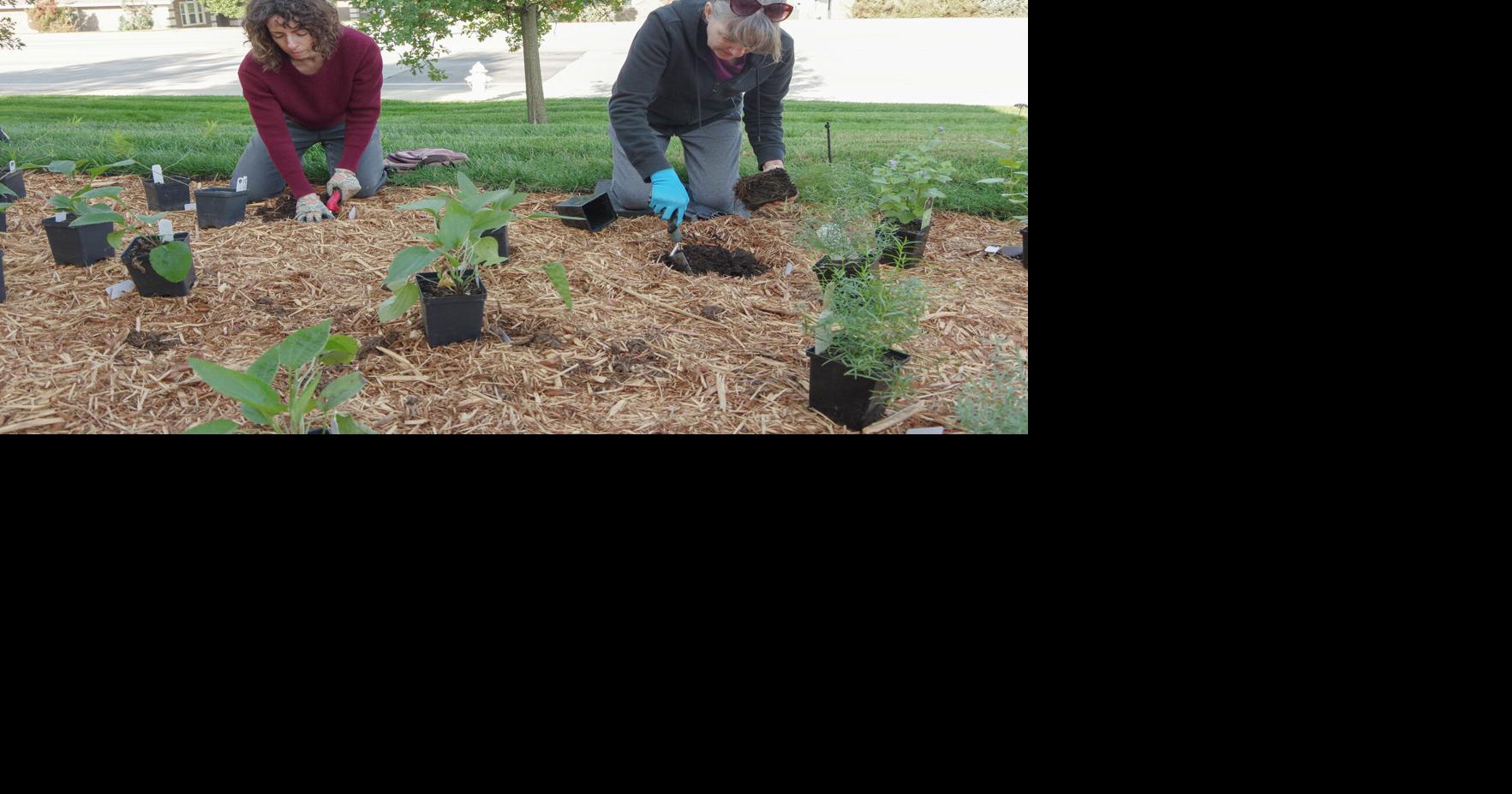 SLIDESHOW: Joplin Public Library pollinator garden | Photos ...