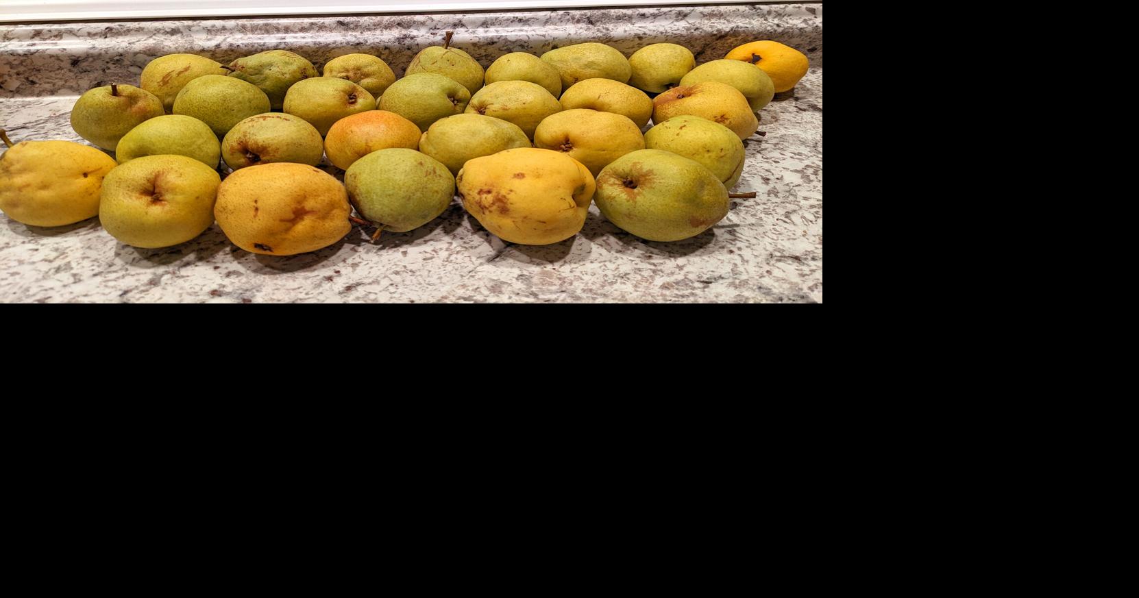 Amanda Stone: Pears deserve a share of fall fruit spotlight ...