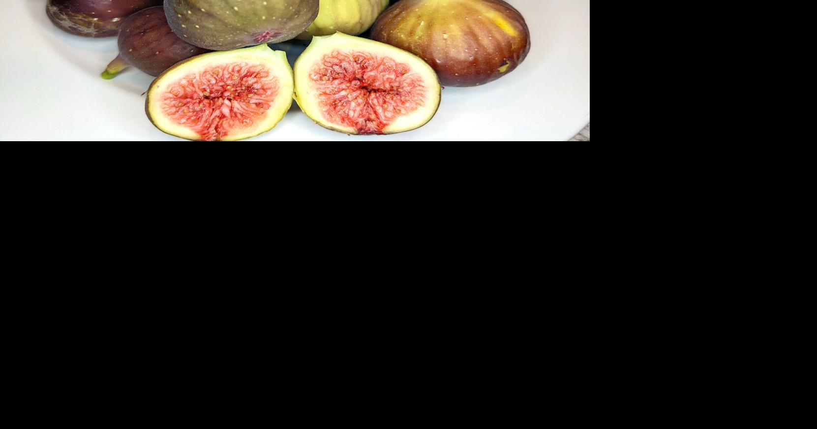 Amanda Stone: Fancy figs can be grown locally | Lifestyles ...