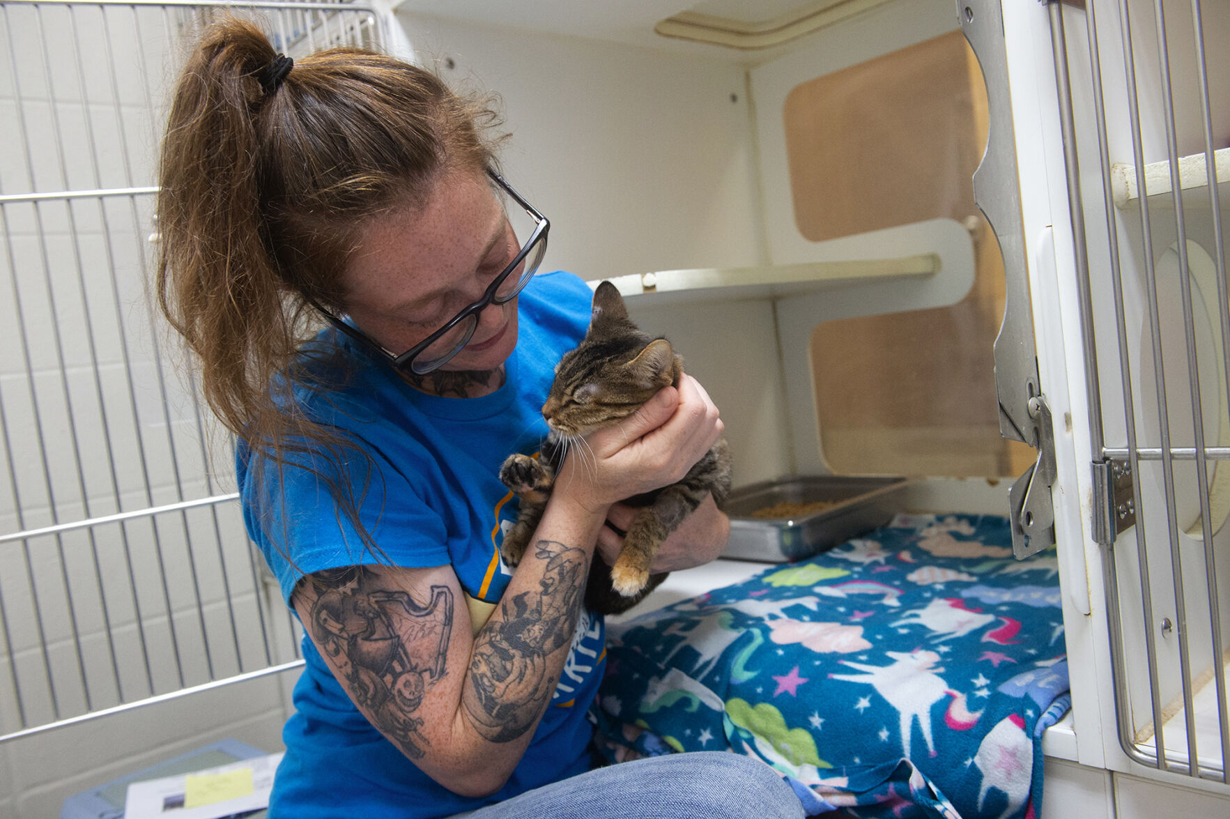 Joplin Humane Society sees large volume of available pets | Local News ...