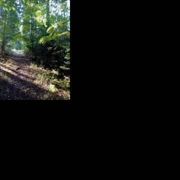 Barbry Allen (Child 84) - May Kennedy McCord | Multimedia | joplinglobe.com