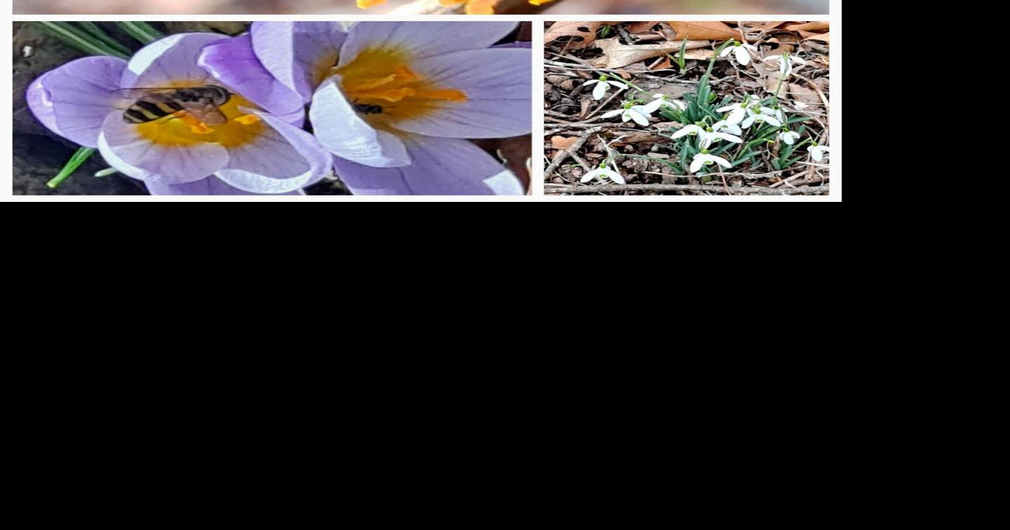 Sandy Parrill: Land coming out of hibernation, but warmth can be trap ...