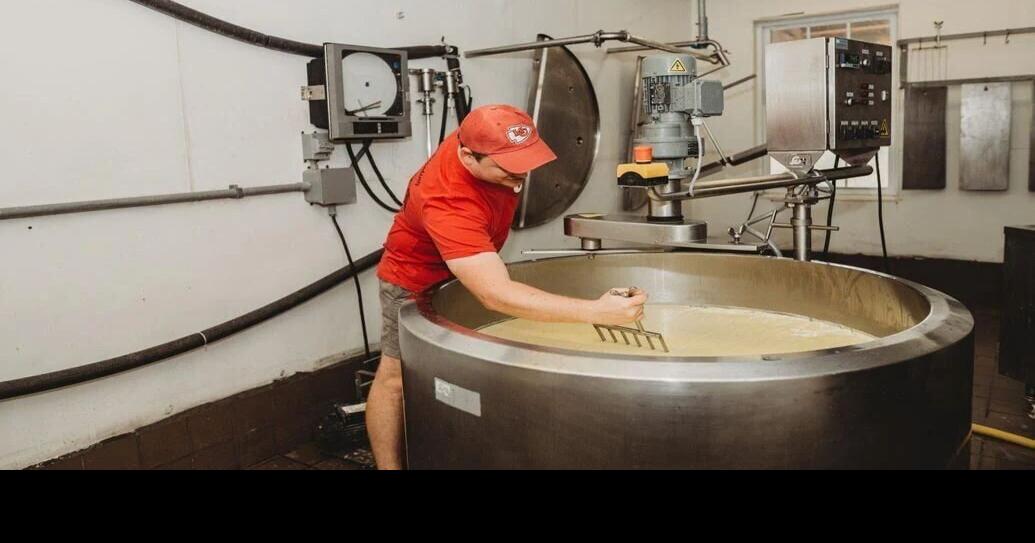 Family farm finds niche with artisanal cheesemaking, hospitality ...