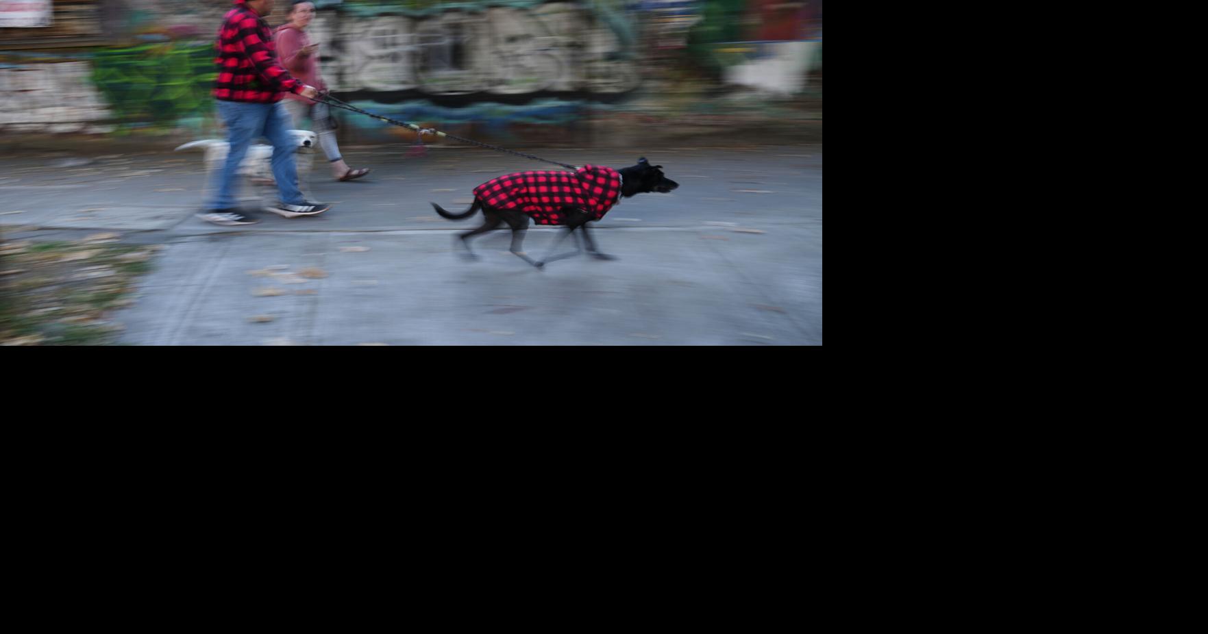 Earthquake with 6.5 magnitude rattles southern and central Mexico ...