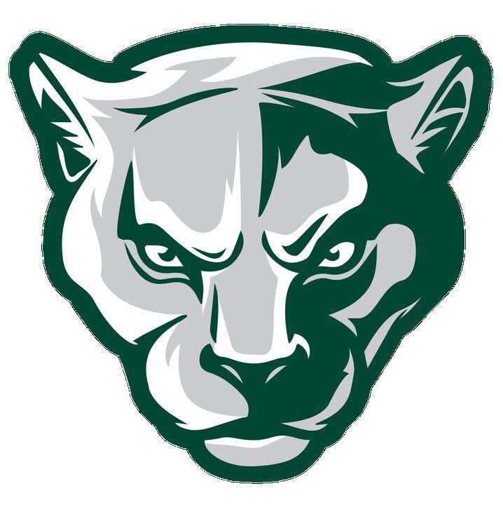 Cougars boys take control in second period, run away from Wheaton ...