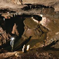 Springfield Cave | | joplinglobe.com