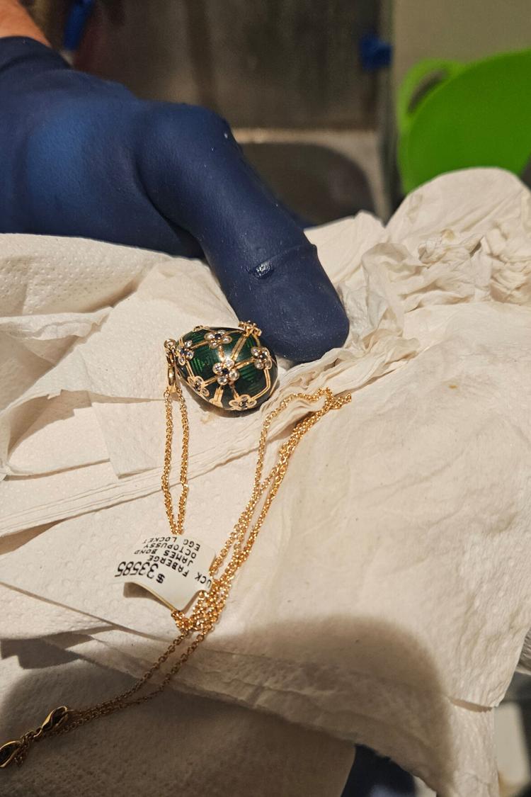 Police recover a swallowed Fabergé pendant after a 6-day wait for it to ...