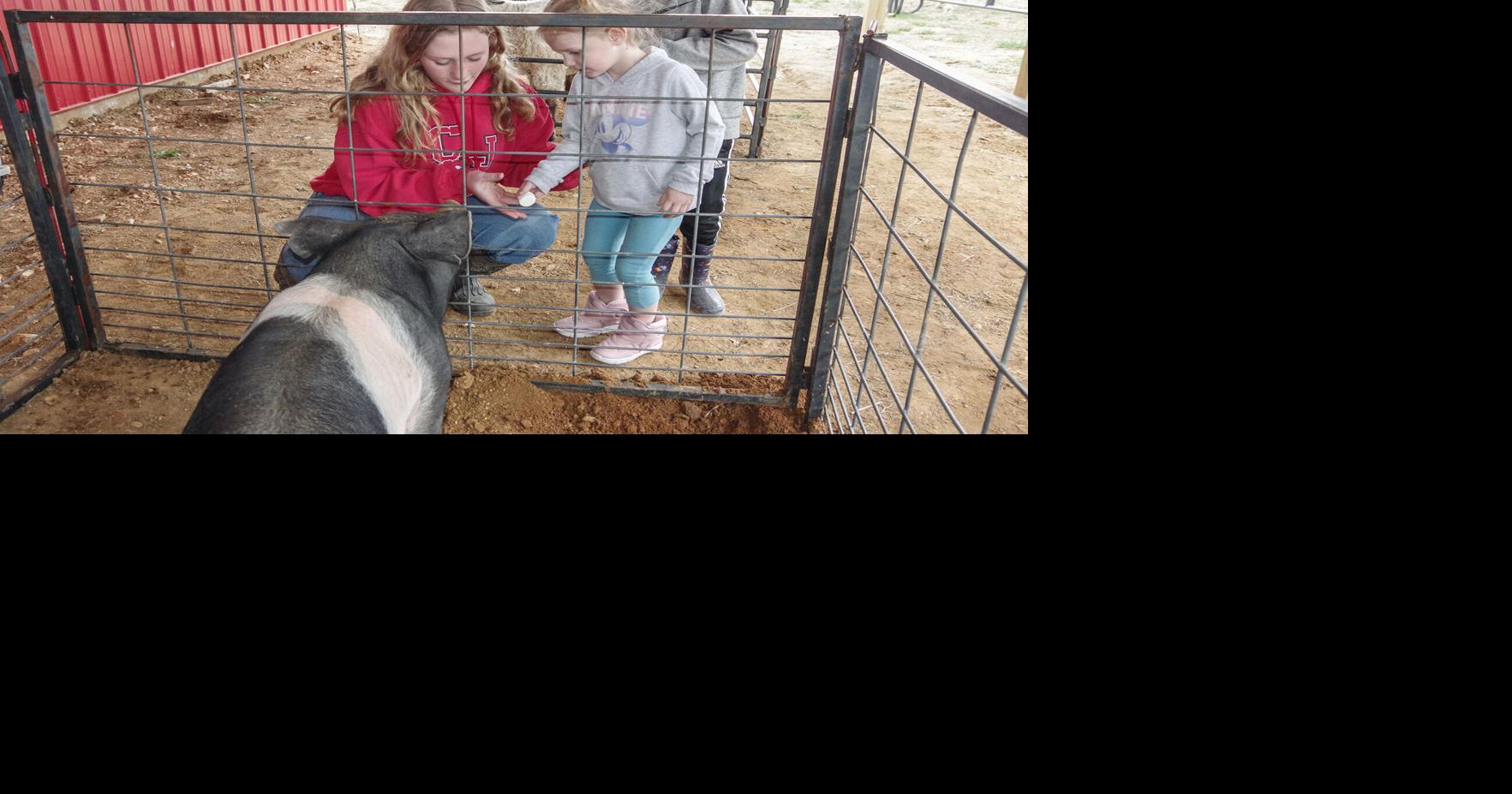 Students looking forward to using new school farm in Carl Junction ...
