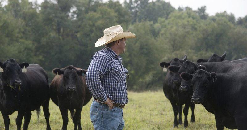 Quapaw tribe unveils plans for meat processing plant | Local News ...