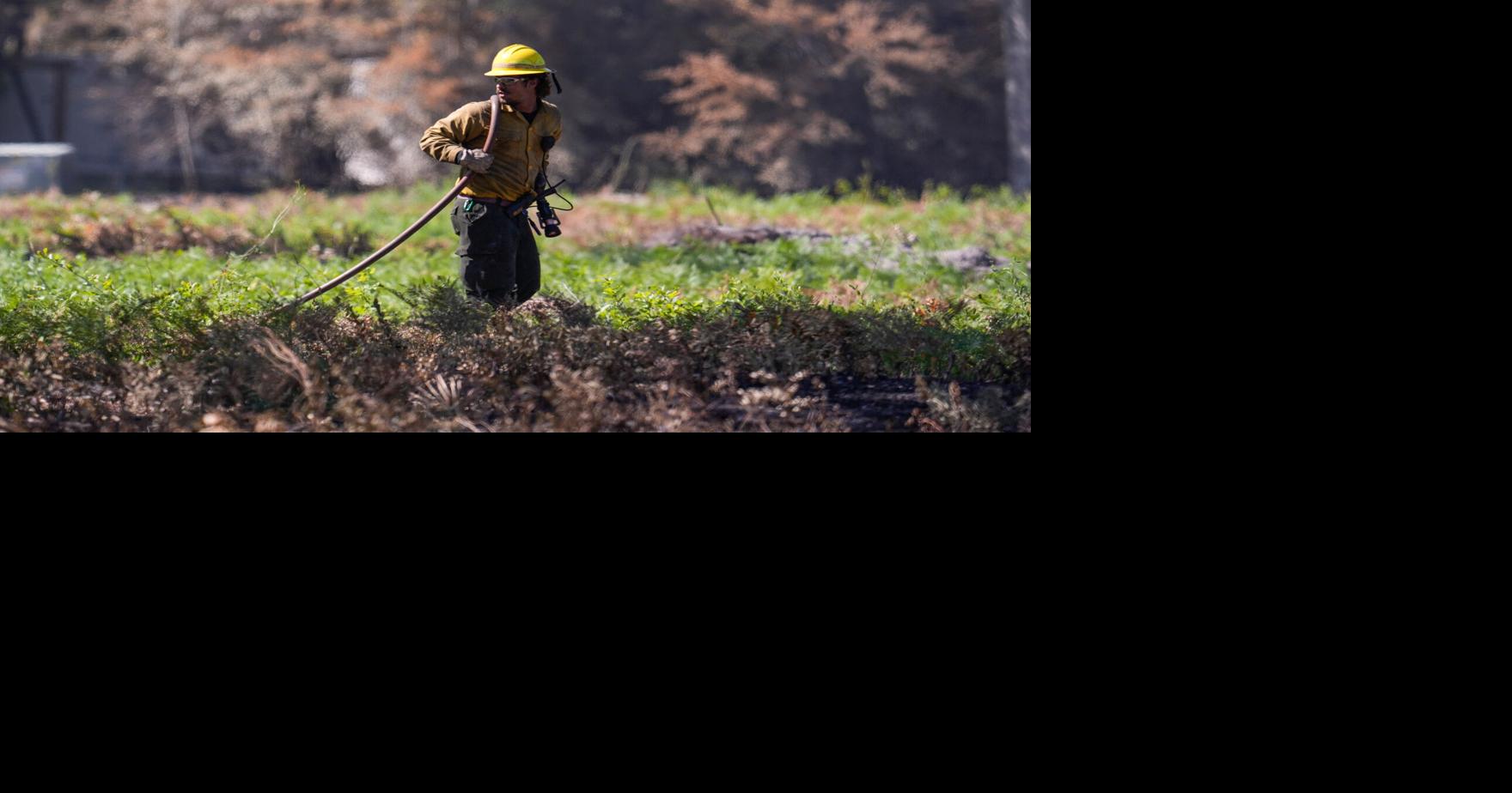 Growing wildfires blamed for death of Florida firefighter and ...