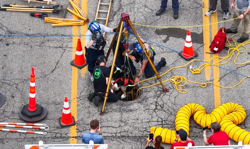 Investigators re-examine Hamilton sewer where man’s remains were found ...