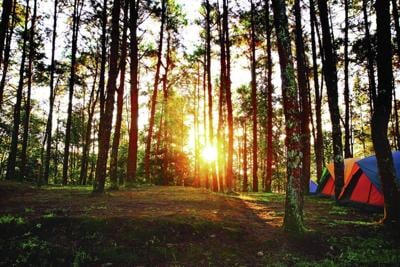 New Ohio law gives 25% military, veteran discount at state parks ...