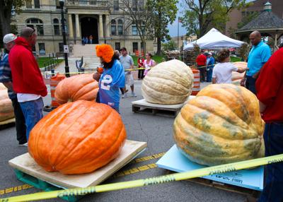 Downtown Hamilton streets closing for Operation Pumpkin festival | News ...