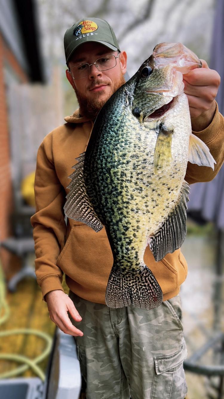 No fish tale: Middletown man sets state record for hybrid crappie ...
