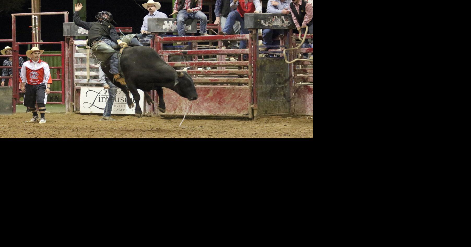 Rodeo time at the fair | | journal-spectator.com