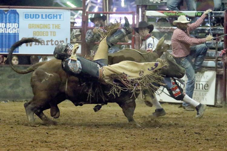 Xtreme Bulls at WCYF | Life & Leisure | journal-spectator.com