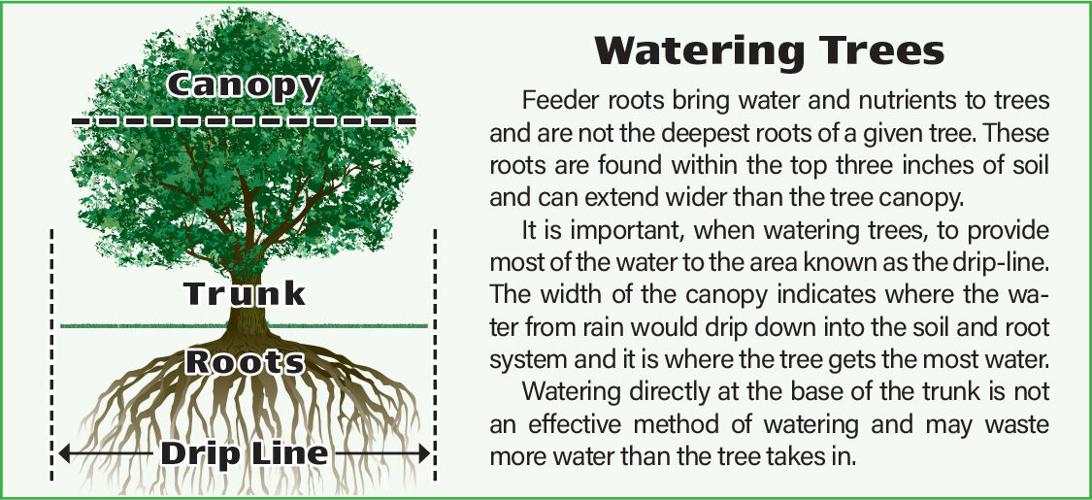 Know when, how to use precious water | Life & Leisure | journal ...