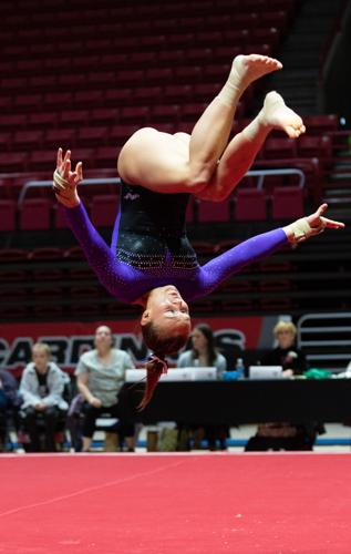 Strong final rotation vaults Bishop Dwenger gymnastics into 3rd at ...