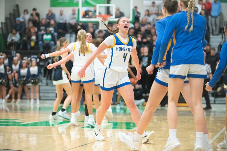 Norwell upsets Homestead to win South Side Sectional title | High ...