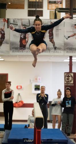 Homestead gymnastics wins fifth sectional title as Zirille claims 4th ...