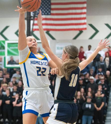 Norwell upsets Homestead to win South Side Sectional title | High ...