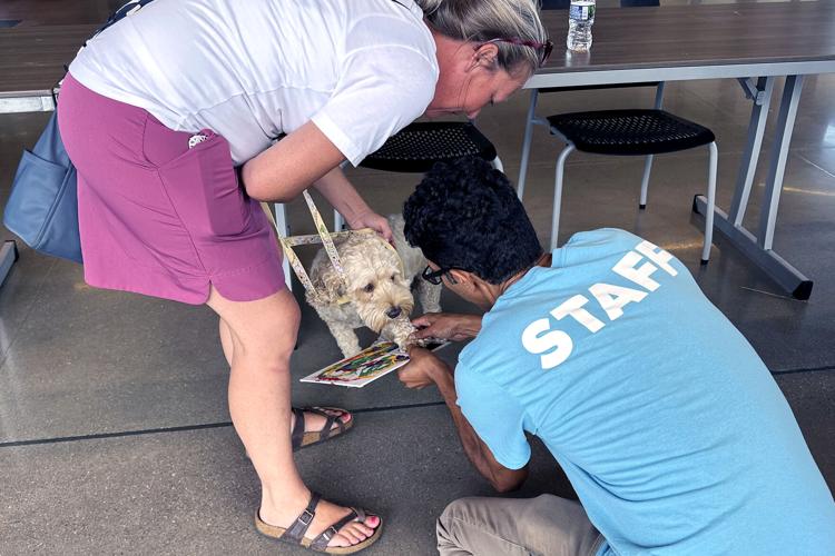 Pups paint at Promenade | Local | journalgazette.net