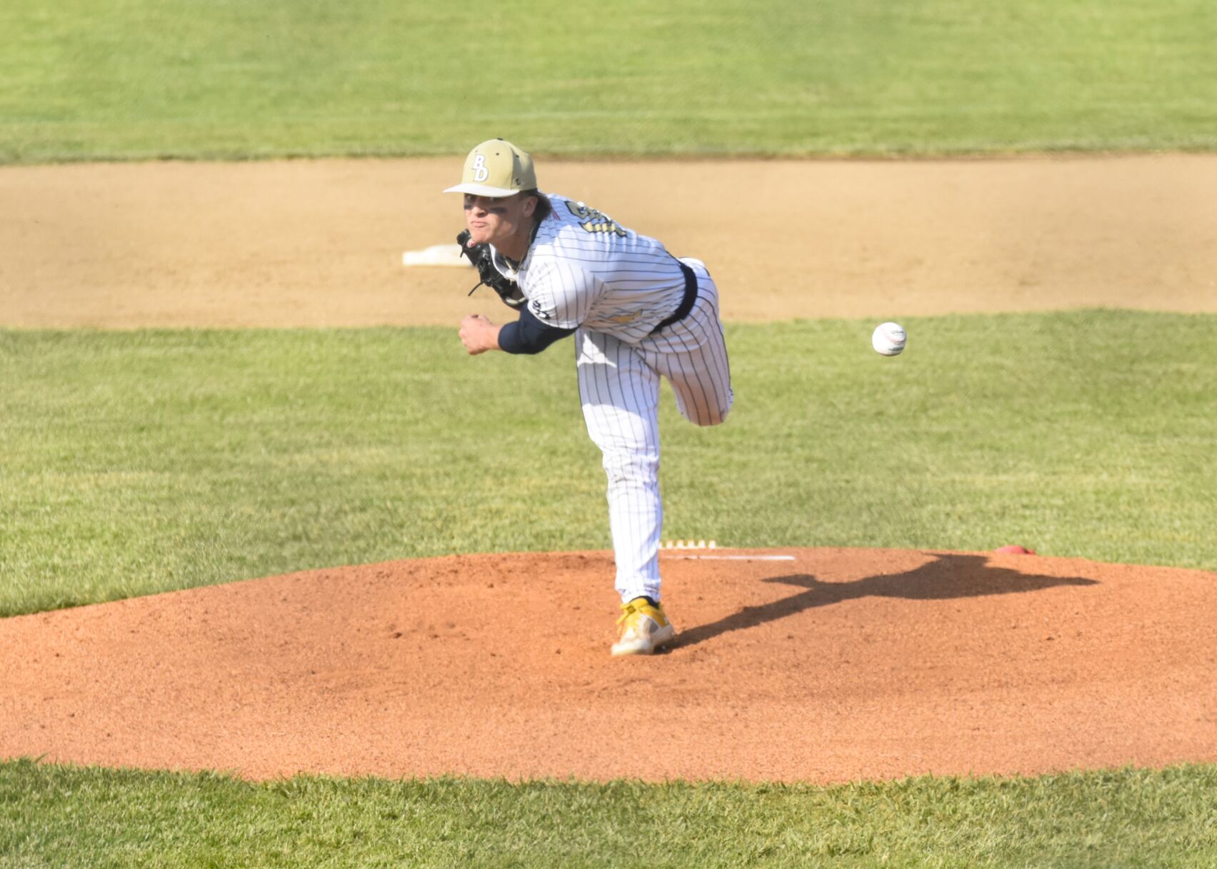 Bishop Dwenger's Lucas Collins strikes out 12, leads Saints to second ...