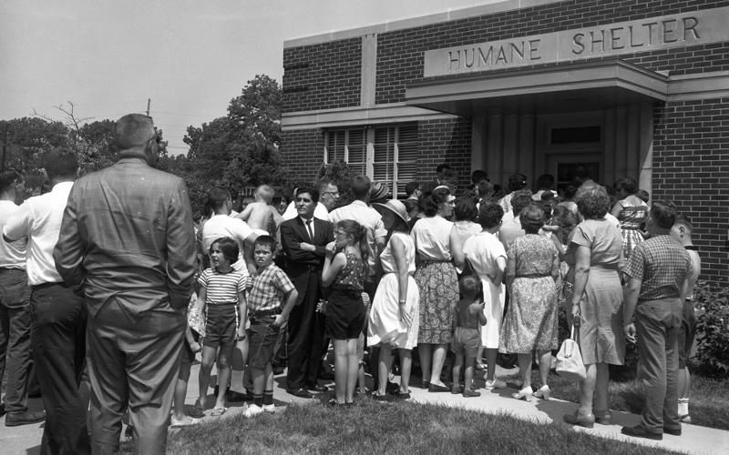 July 25, 1963: Families line up at Humane Shelter after puppy's playful plea in print | History ...