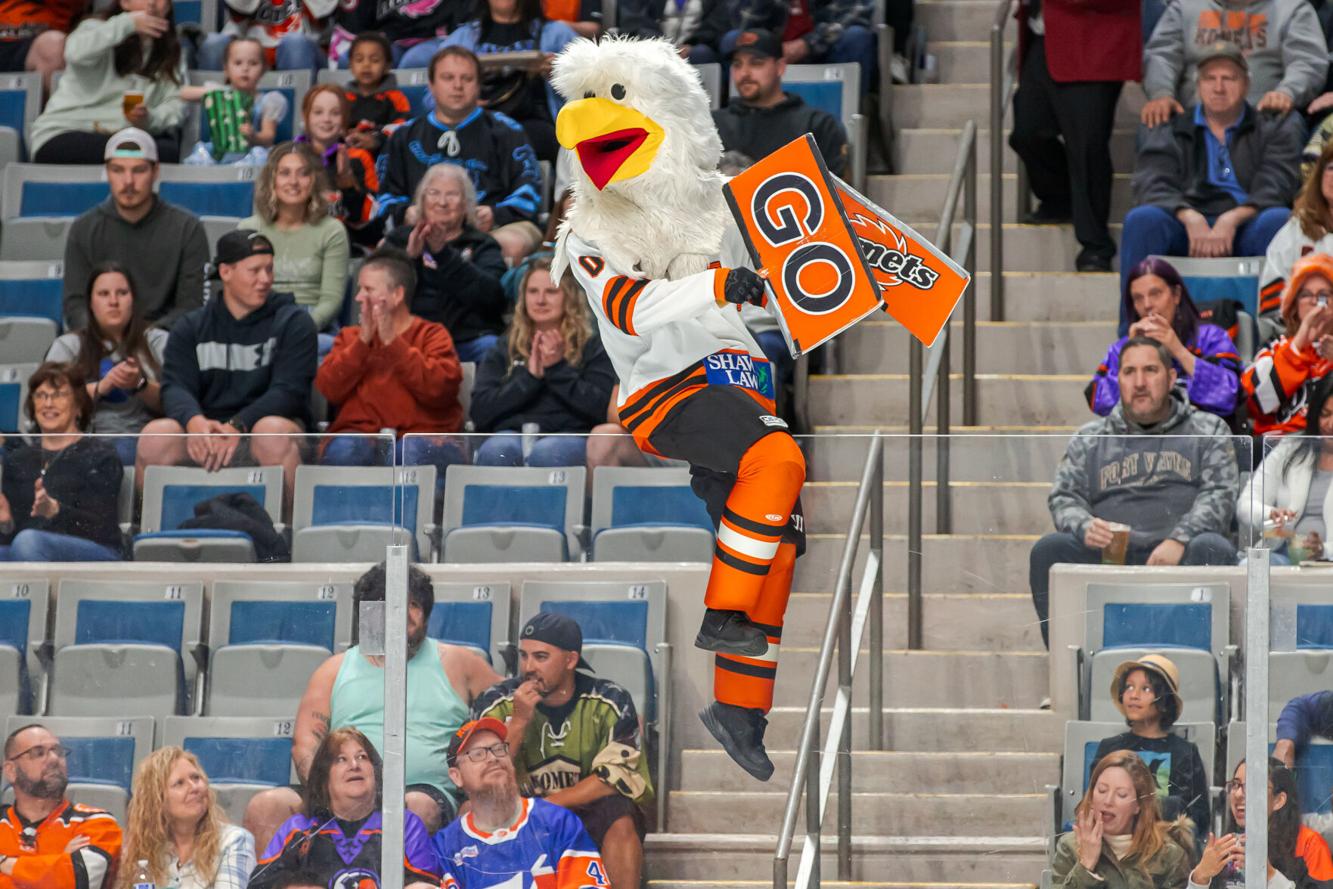 Komets owner, GM David Franke talks ECHL CBA negotiation | Komets | journalgazette.net