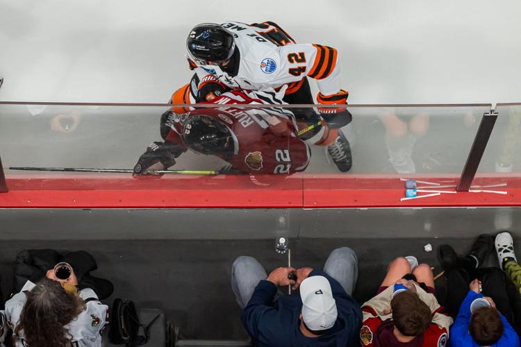 Brett Brochu's goalie fight part of history-making night for Komets ...