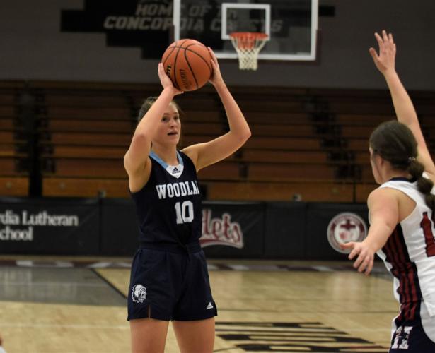 Friday Gallery: Concordia Sectional Semifinal, Woodlan vs. Heritage ...