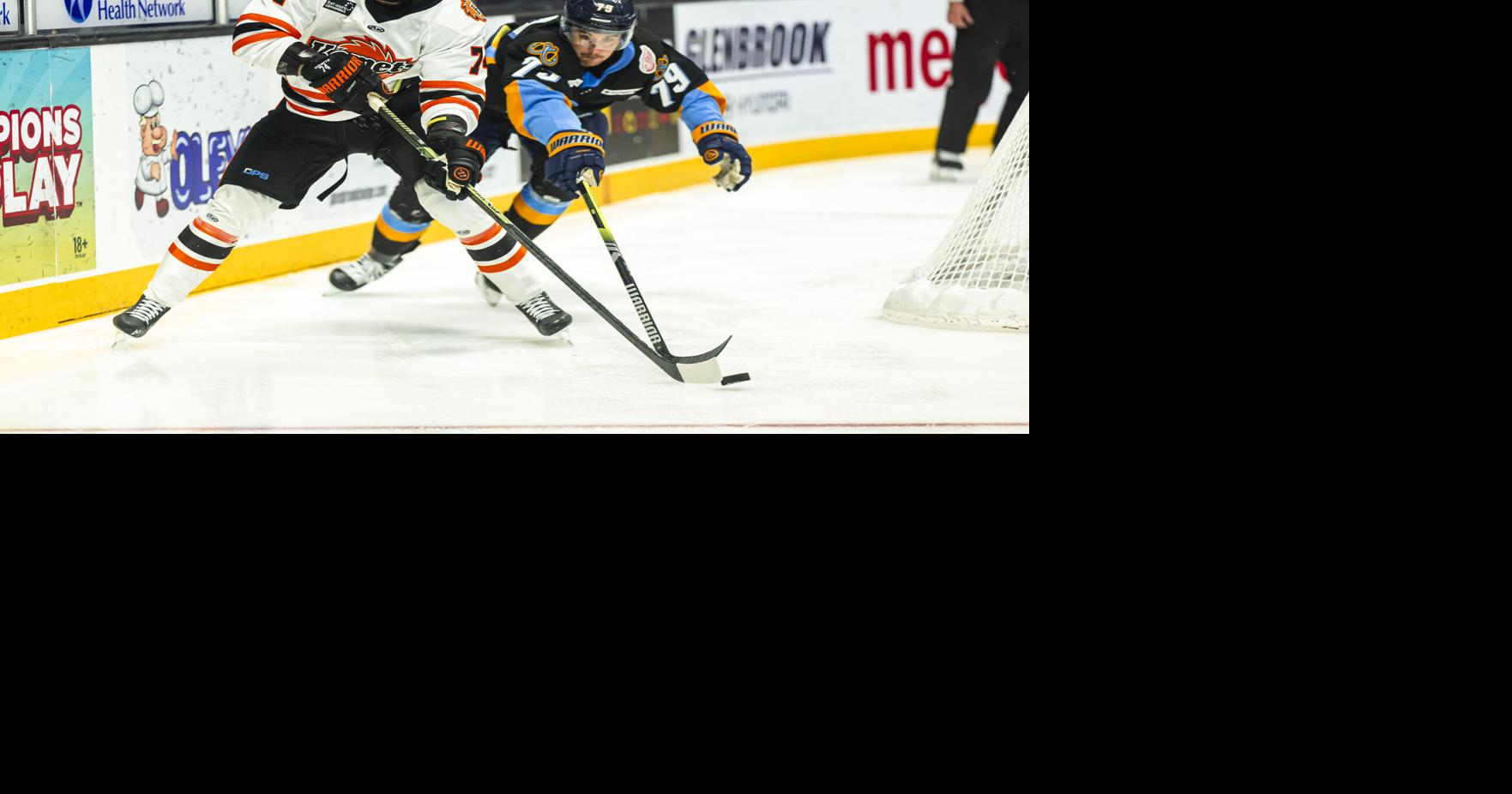 Komets vs. Toledo, Jan. 11 | | journalgazette.net