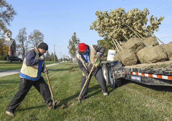Tree going up near Aboite Center Road | Local | journalgazette.net