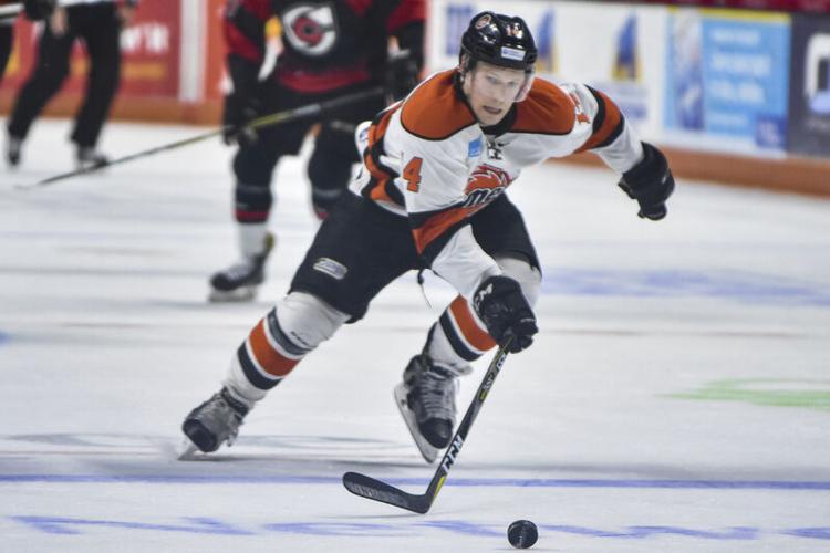Komets vs Cincinnati Sunday gallery | Photo Galleries | journalgazette.net