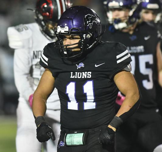 Leo falls short of first state title berth | High Schools ...