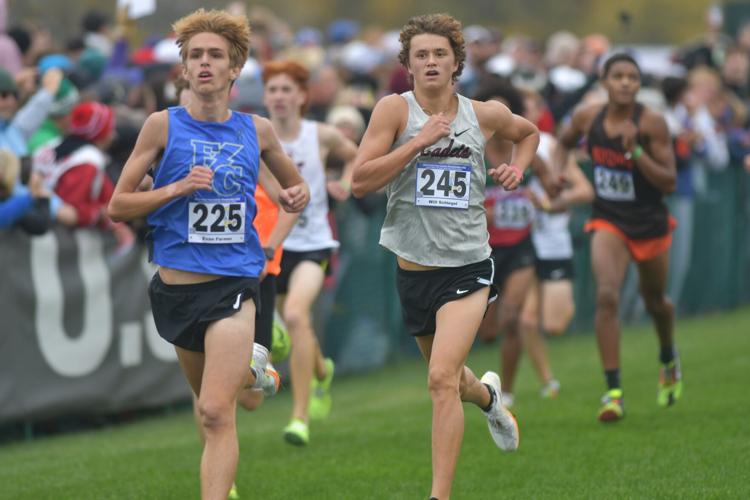 Homestead, Concordia girls go 1-2 at cross country state finals | High ...
