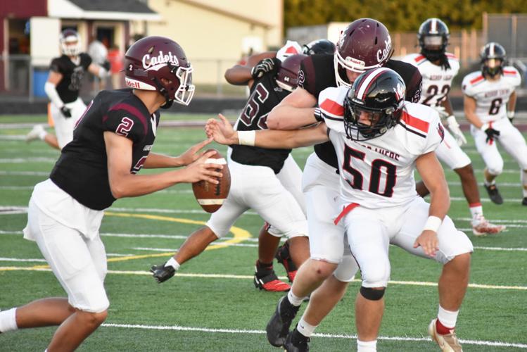 Hot start pushes Luers to rout of Cadets | High Schools ...