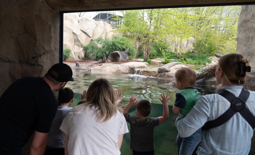 Fort Wayne Children's Zoo opens for the season | Local | journalgazette.net