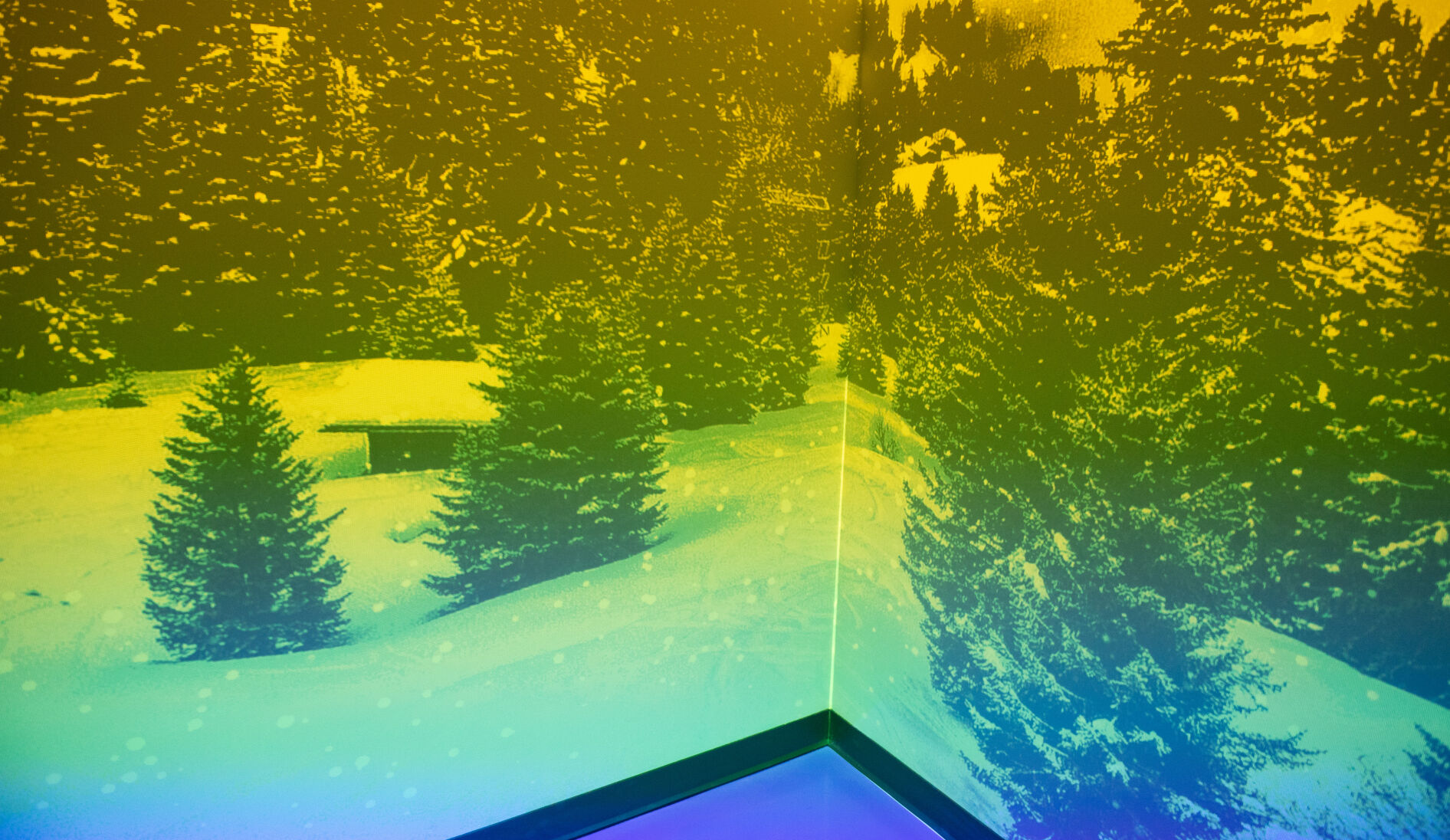 University of Saint Francis set to show off new immersive lab | Schools ...