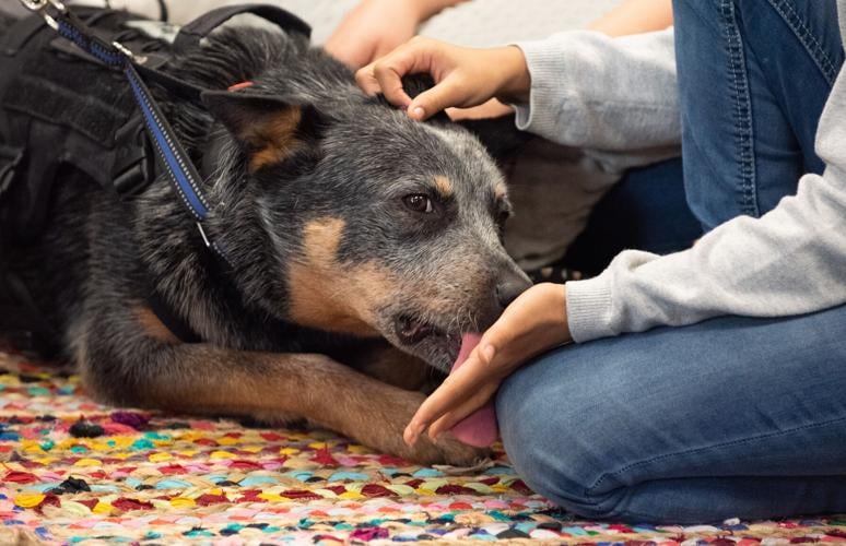 Fort Wayne police officer reads, therapy dog charms EACS third grade ...