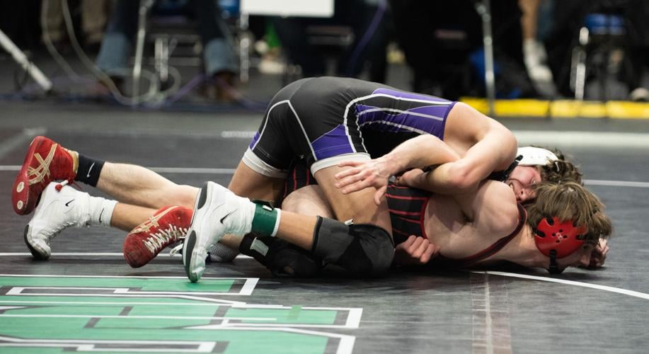 Wrestling semistate: Area pair couple milestone wins with titles ...