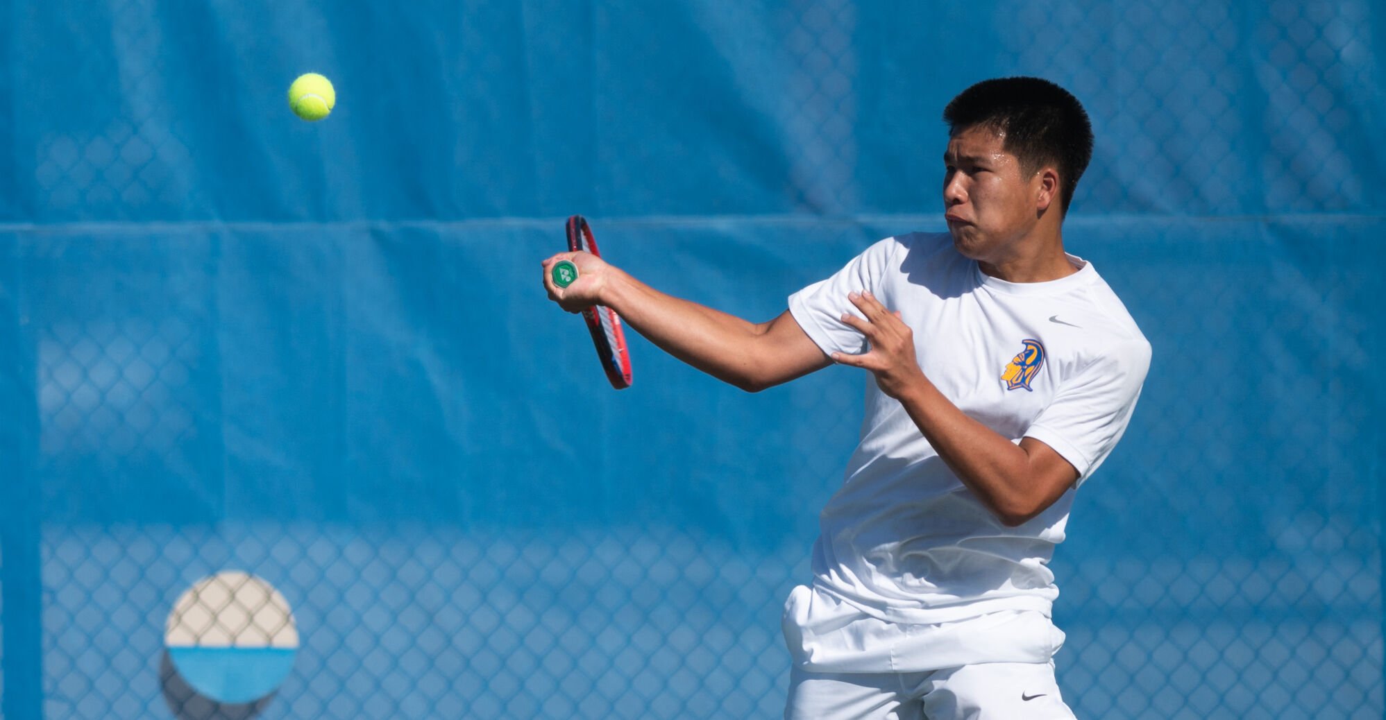 Homestead's Joe and Ben Garrean, East Noble's Ettore Bona earn all ...