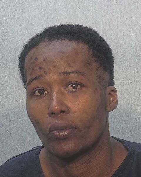 Fort Wayne woman sentenced to six years in prison for stabbing, beating ...