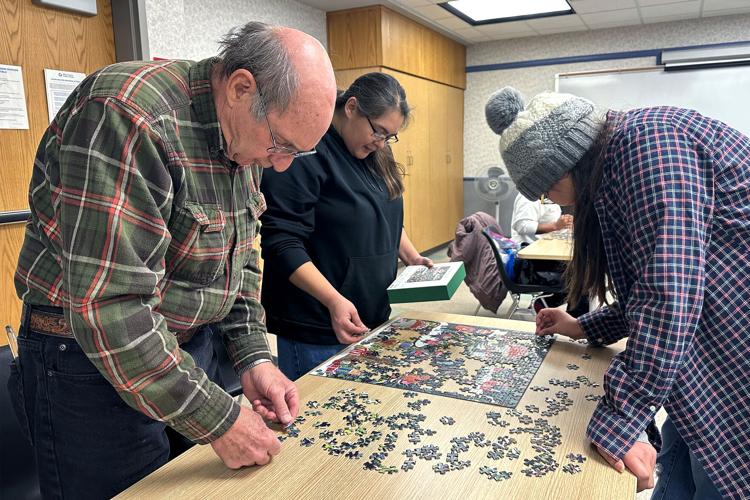 Jigsaw puzzle tournament at Allen County Public Library | Local ...