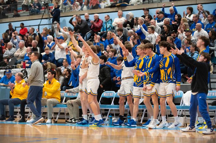 Wayne, Homestead boys basketball to meet in sectional final once again ...