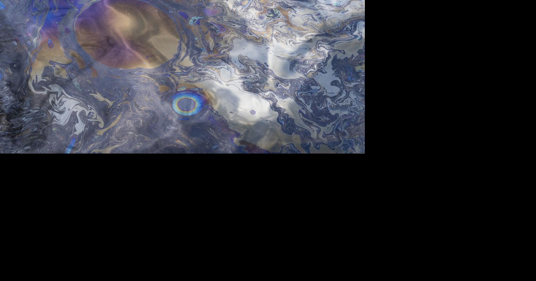 No harmful dioxin levels in East Palestine waste, testing shows ...